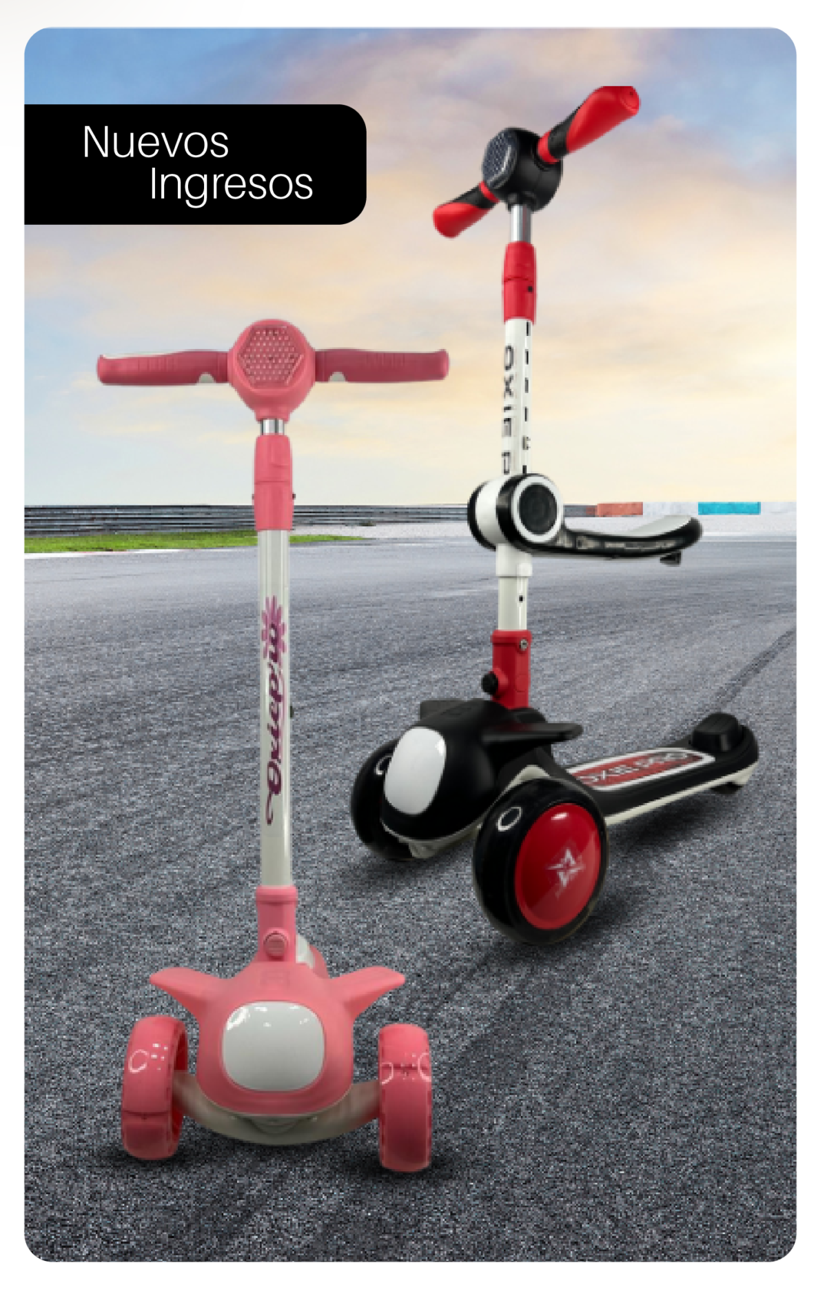 Scooter - Oxie Pro